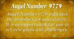 Angel Number 9779 Meaning - Promises For Your Future - SunSigns.Org