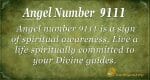 Angel Number 9111 Meaning - Sign Of Spiritual Awareness - SunSigns.Org