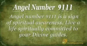 Angel Number 9111 Meaning - Sign Of Spiritual Awareness - SunSigns.Org