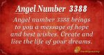 Angel Number 3388 Meaning: Broader Possibilities Ahead - SunSigns.Org
