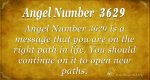 Angel Number 3629 Meaning - Stay On the Right Path - SunSigns.Org
