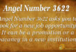 Angel Number 503 Meaning | SunSigns.Org