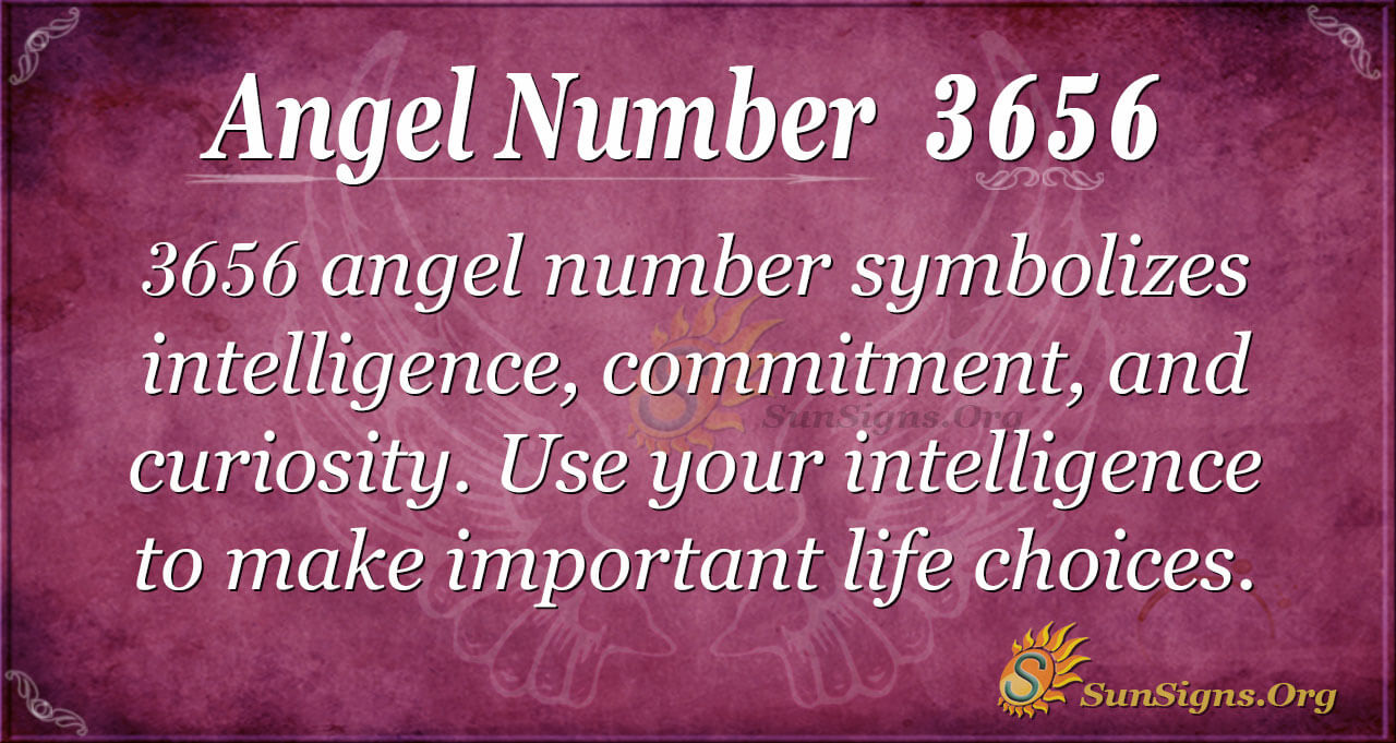 Angel Number 3656 Meaning : A Symbol Of Intelligence - SunSigns.Org