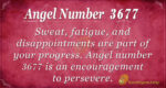 Angel Number 3677 Meaning: Sweat And Fatigue - SunSigns.Org