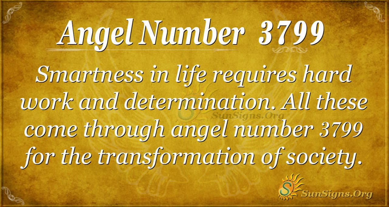 Angel Number 3799 Meaning: Smartness In Life - SunSigns.Org