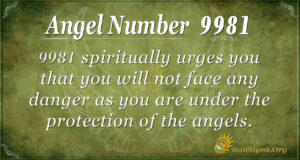 Angel Number 9981 Meaning: Setting Clear Boundaries - SunSigns.Org