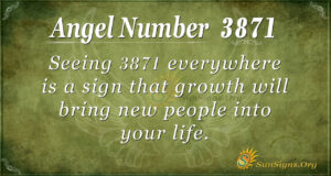 Angel Number 3871 Meaning: Seize The Growth Process - SunSigns.Org