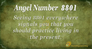 Angel Number 8801 Meaning: Living Purposefully - SunSigns.Org