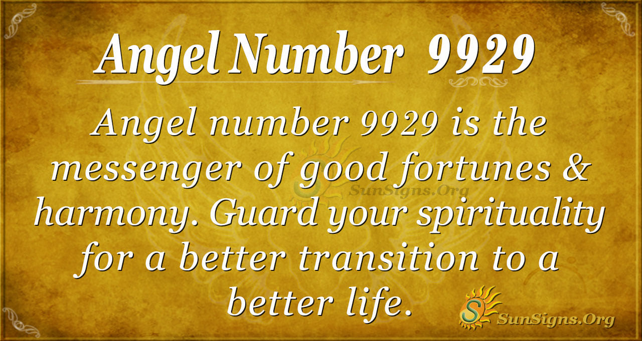 Angel Number 9929 Meaning: Peace And Harmony - SunSigns.Org