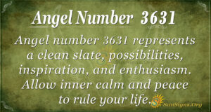 Angel Number 3631 Meaning: Path To Enlightenment - SunSigns.Org