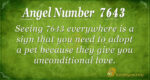 Angel Number 7643 Meaning: Adopt And Care For A Pet - SunSigns.Org