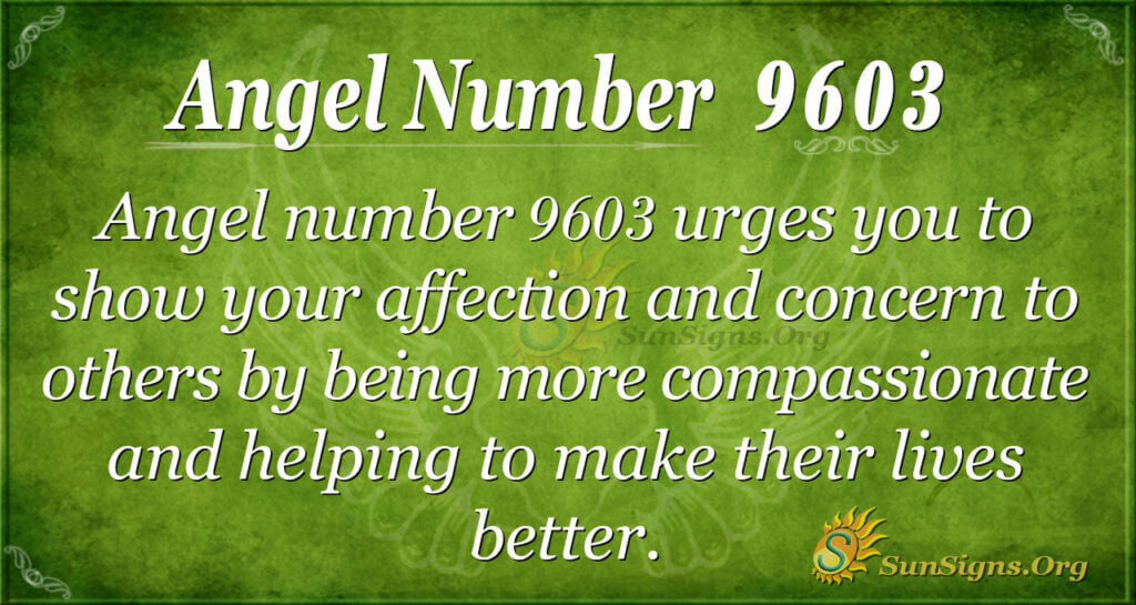 538 Angel Number Sun Signs