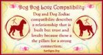 Dog And Dog Compatibility: Fulfilling Connection - SunSigns.Org