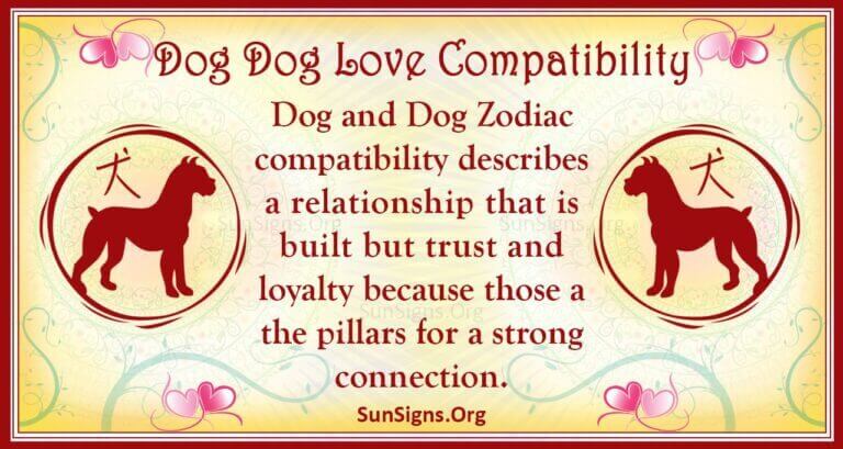 Dog And Dog Compatibility: Fulfilling Connection - SunSigns.Org