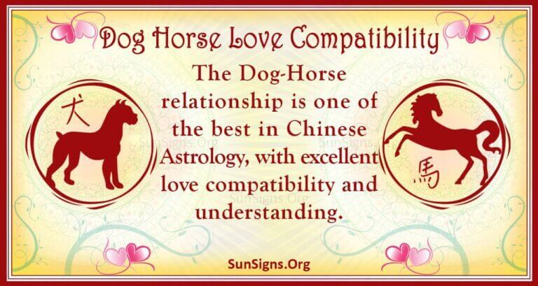 Dog And Horse Compatibility: Mind-Blowing Attraction - SunSigns.Org