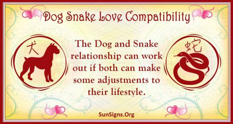 Dog And Snake Compatibility: Dramatic Relationship - SunSigns.Org