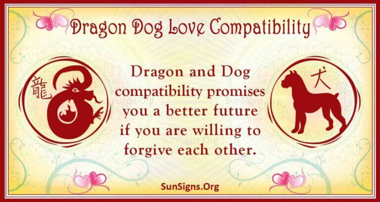 Dragon And Dog Compatibility: Spicy And Flirting Affair - SunSigns.Org