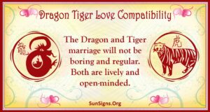 Dragon And Tiger Compatibility: An Emotional Connection - SunSigns.Org