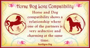 Horse And Dog Compatibility: A Dreamy Connection - SunSigns.Org