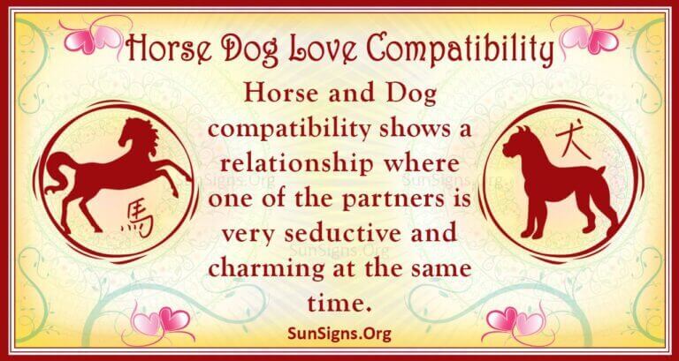 Horse And Dog Compatibility: A Dreamy Connection - SunSigns.Org