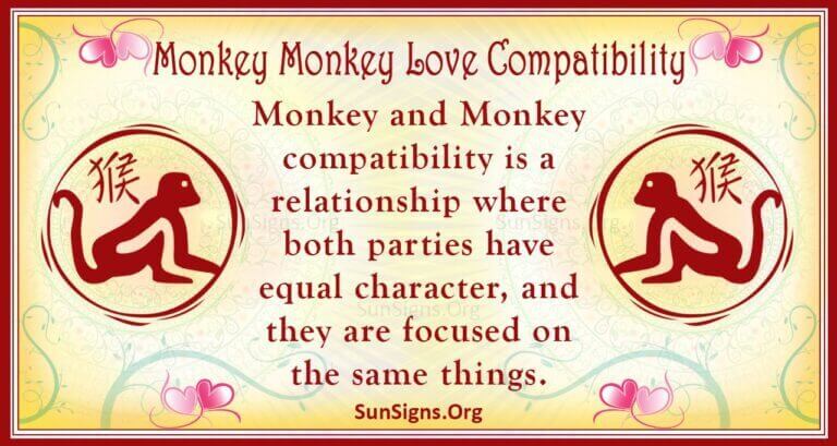 Monkey And Monkey Compatibility: Seductive Connection - SunSigns.Org