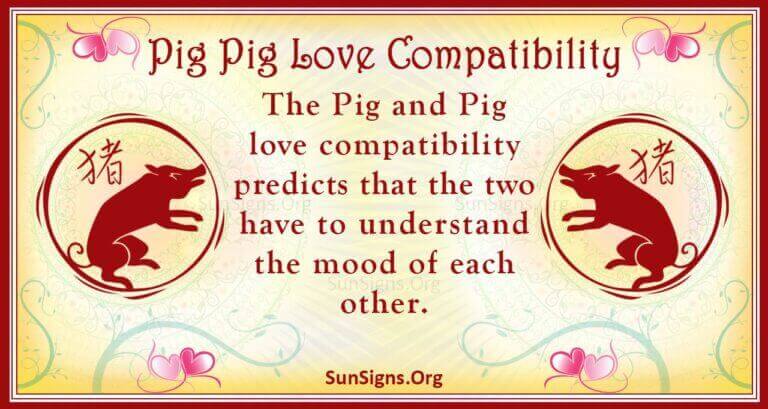 Pig And Pig Compatibility: Drive To Explore - SunSigns.Org