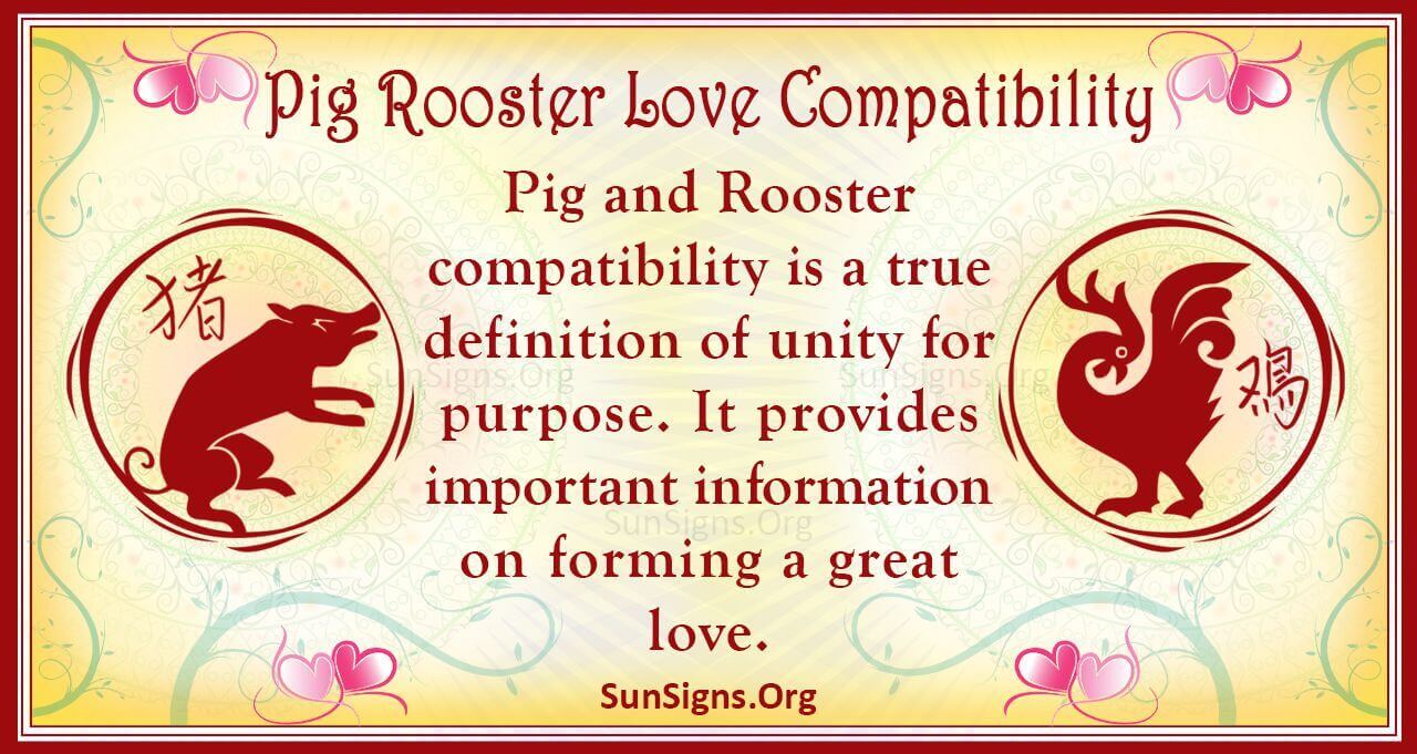 Pig And Rooster Compatibility: Compassionate Duo - SunSigns.Org