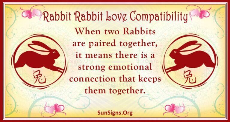 Rabbit And Rabbit Compatibility: Peaceful And Quiet - SunSigns.Org