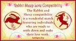 Rabbit And Sheep Compatibility: Mutually Dreamy - SunSigns.Org