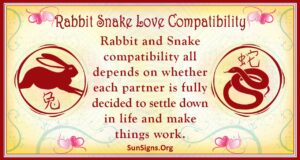 Rabbit And Snake Compatibility: Charming And Secretive - SunSigns.Org