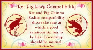 Rat And Pig Compatibility: A Charming Pair - SunSigns.Org