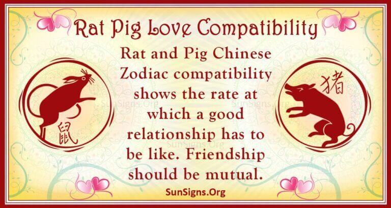 Rat And Pig Compatibility: A Charming Pair - SunSigns.Org
