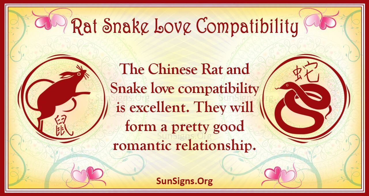 Rat And Snake Compatibility: Perfect Love Match - SunSigns.Org