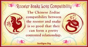 Rooster And Snake Compatibility: Silent And Seductive - SunSigns.Org