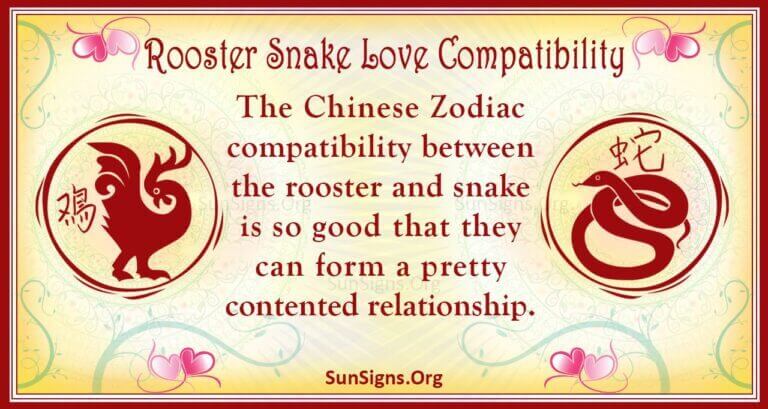 Rooster And Snake Compatibility: Silent And Seductive - SunSigns.Org