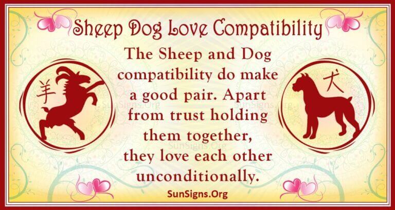 Sheep And Dog Compatibility: Built To Last - SunSigns.Org