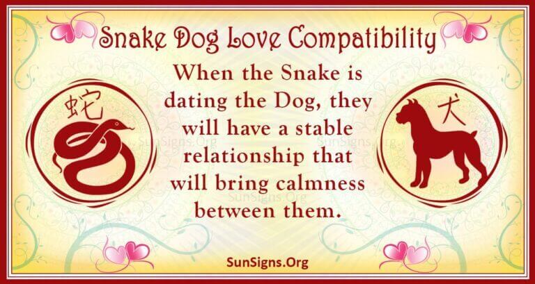 Snake And Dog Compatibility: Desired Partnership - SunSigns.Org