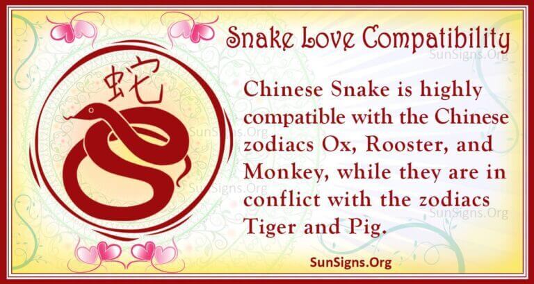 Chinese Snake Zodiac Compatibility - Who Should A Snake Marry ...