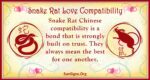Snake And Rat Compatibility: An Admirable Connection - SunSigns.Org