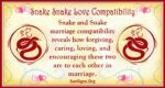 Snake And Snake Compatibility: A True Bond - SunSigns.Org