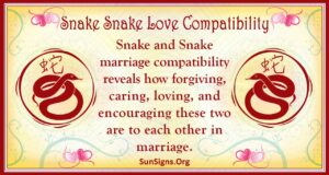 Snake And Snake Compatibility: A True Bond - SunSigns.Org