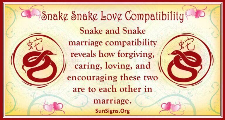 Snake And Snake Compatibility: A True Bond - SunSigns.Org