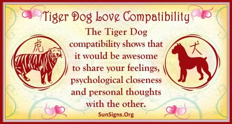 Tiger And Dog Compatibility: Unbreakable Bond - SunSigns.Org