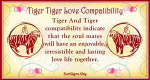 Tiger And Tiger Compatibility: Lasting Bond - SunSigns.Org
