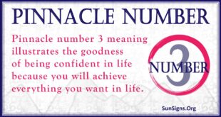 Pinnacle Numbers: How To Calculate And Interpret Them