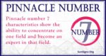 Pinnacle Numbers: How To Calculate And Interpret Them