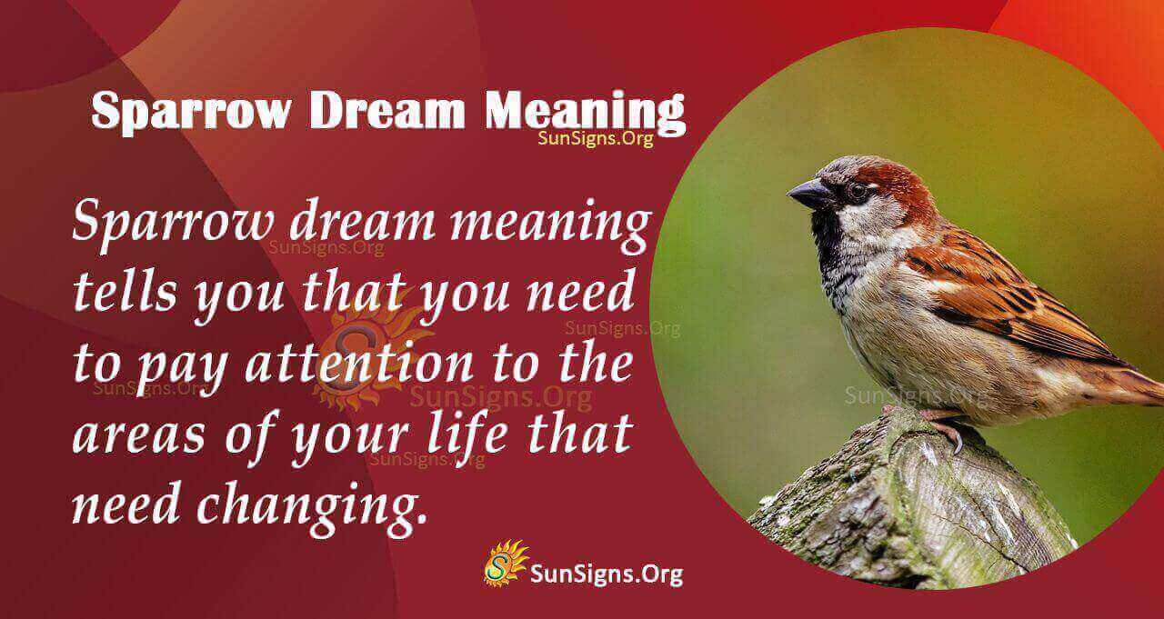 Seeing A Sparrow In A Dream - Meaning, Interpretation and Symbolism ...