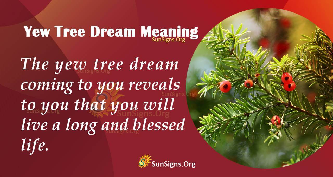 Seeing Yew Tree In Your Dream - Meaning, Interpretation, And Symbolism ...