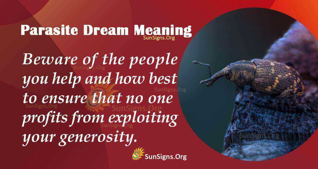 Dream Of Parasite - Meaning, Interpretation And Symbolism