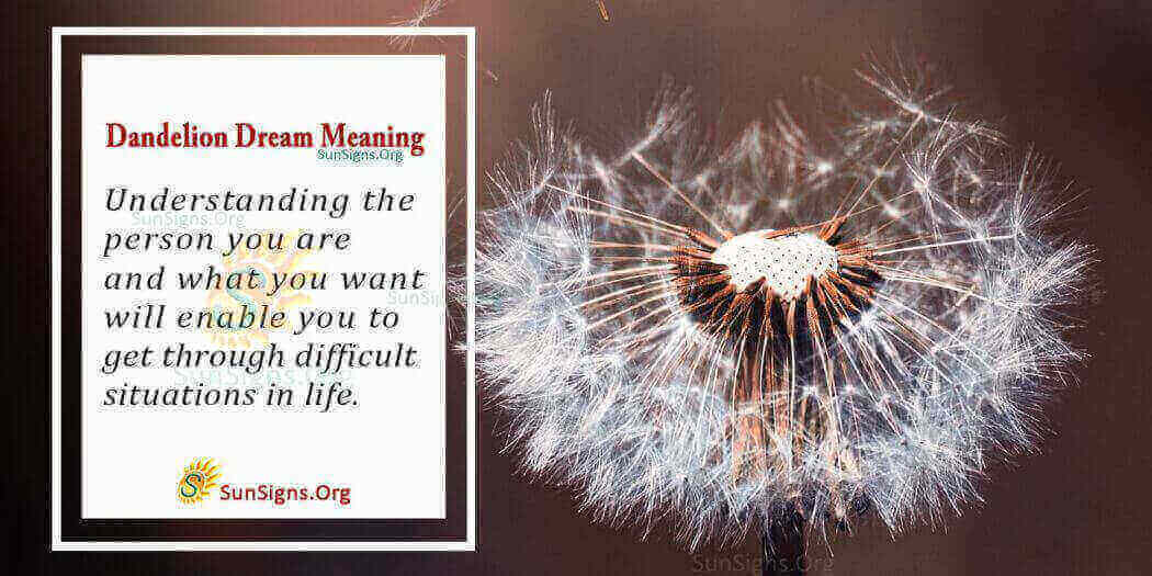 Seeing A Dandelion In Your Dream - Meaning, Interpretation And ...